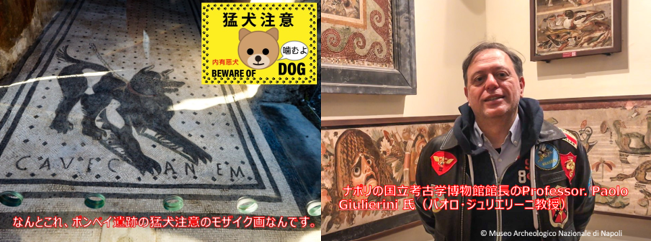 Capture2 | JALPAKインターナショナル ヨ－ロッパ