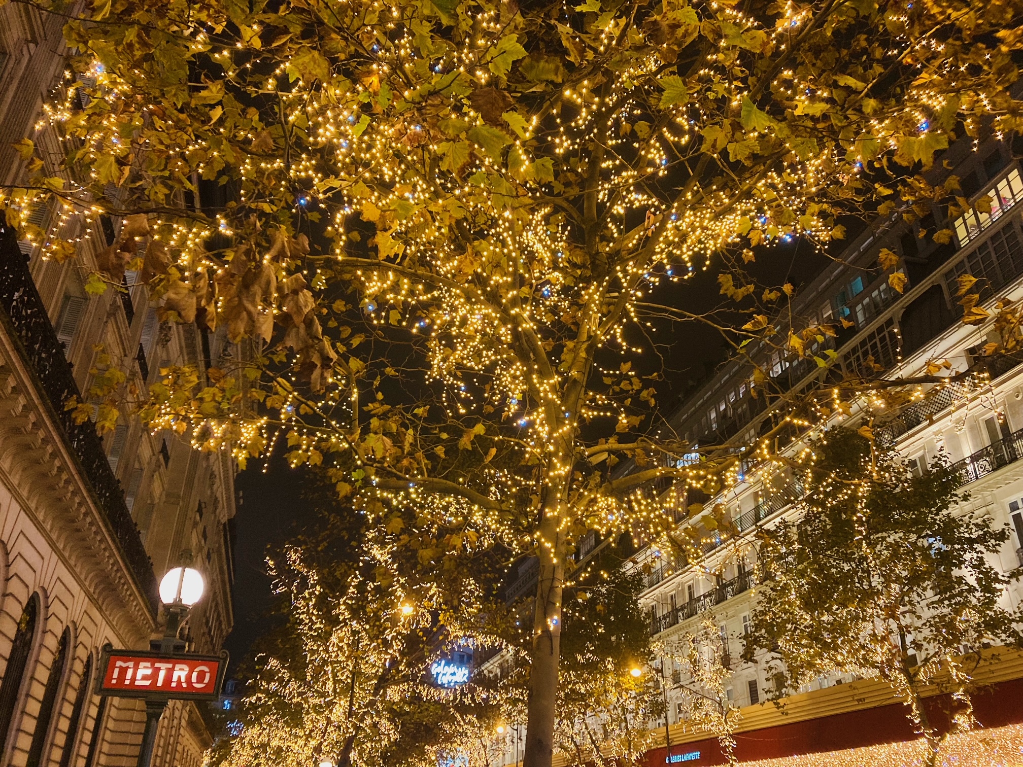 パリ ノエルのイルミネ－ション | JALPAK パリ支店